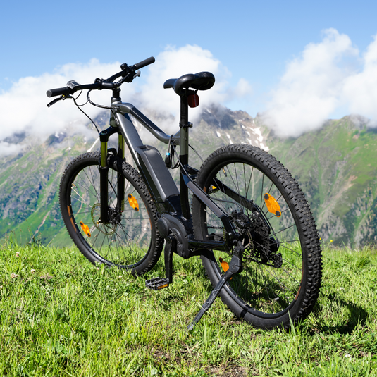 Ebike Pulse – E Bike Pulse