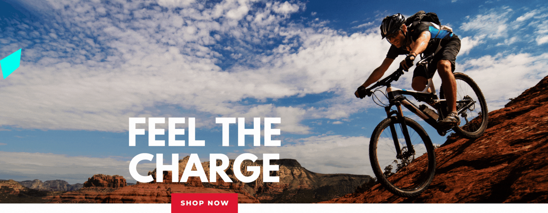 Ebike Pulse – E Bike Pulse