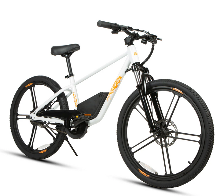 Ebike Pulse – E Bike Pulse
